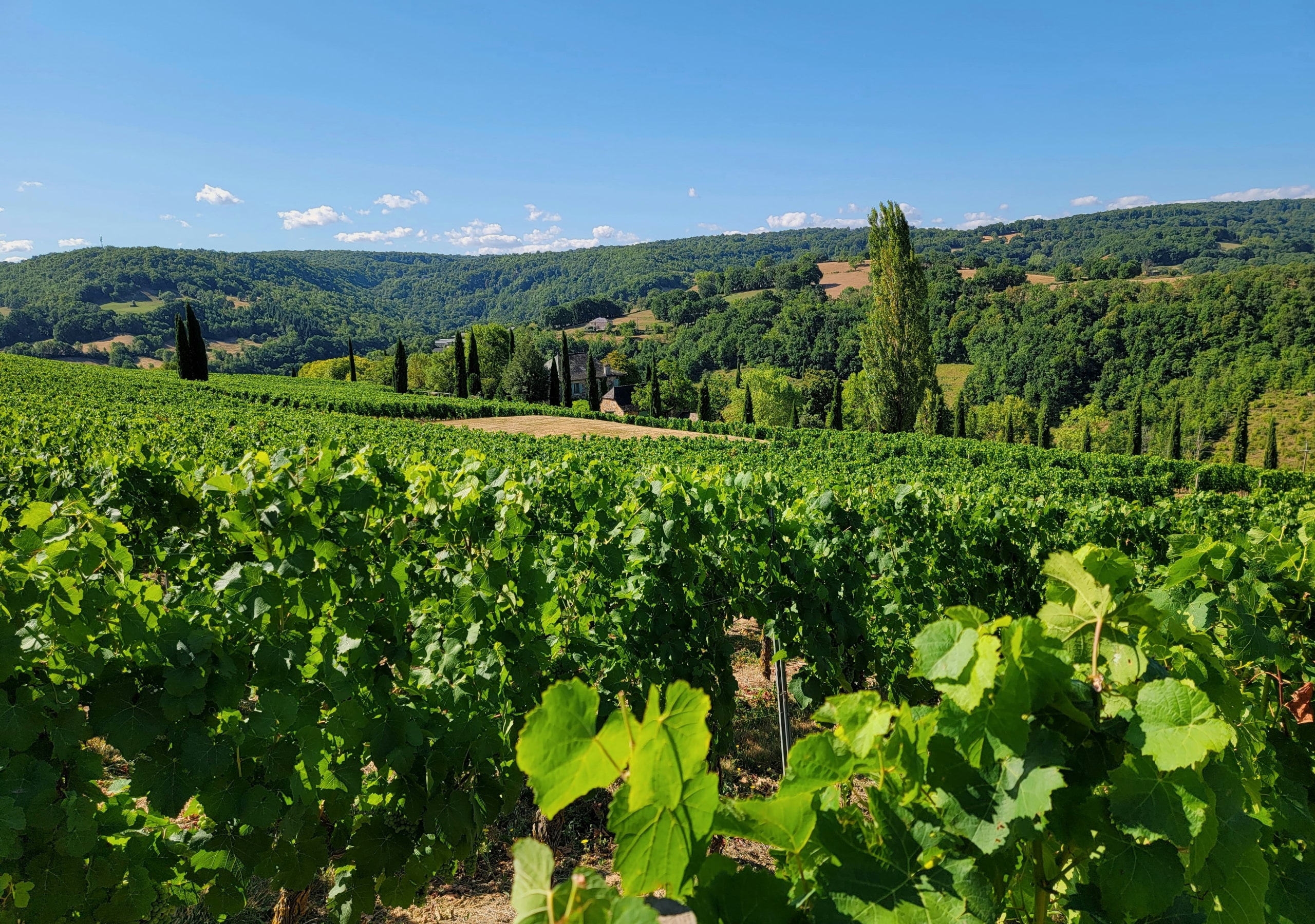 Top 10 plus beaux vignobles Français - Weekendesk